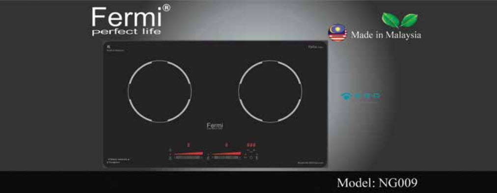 Bếp từ Fermi NG 009 Platinum - BepRoyal